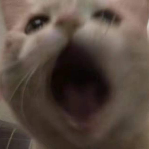 网络保安IAN 