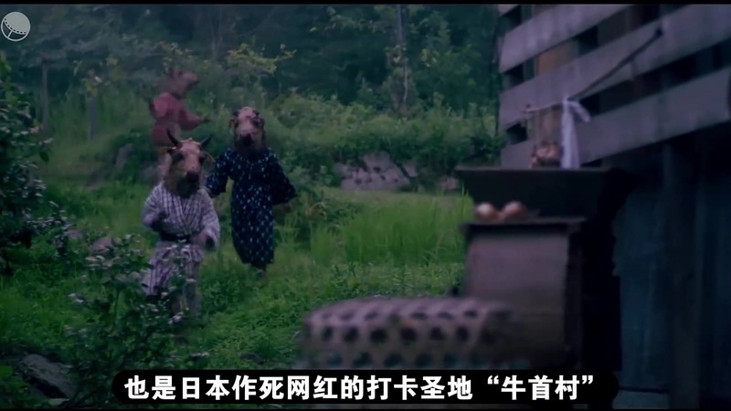 一口气看完咒怨导演新作,日本网红打卡圣地,双胞胎最多的村庄