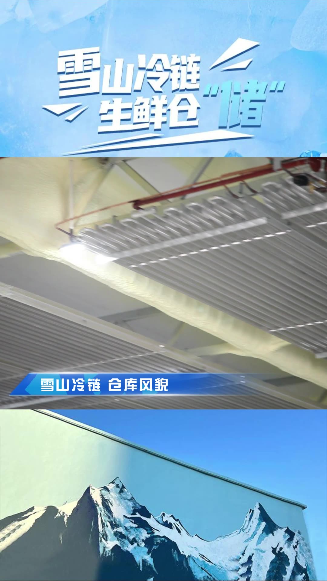 冷链仓储哪家好,内蒙冷链仓储厂家带你参观了解冷冻库;冷链仓储厂家...