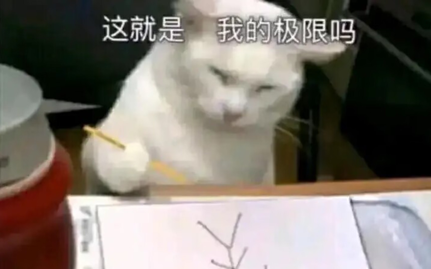 我的世界租赁服宣传 服务器号98273883