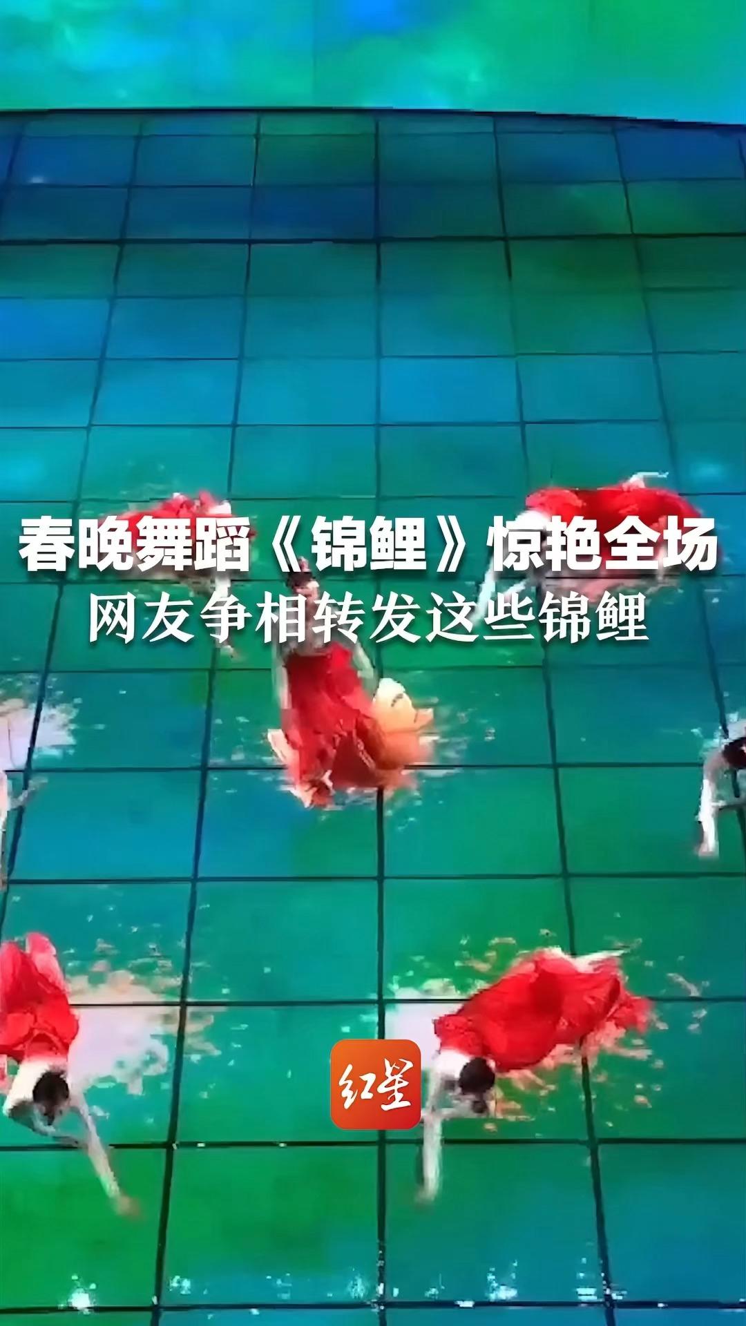 ...舞蹈总监揭秘:上千动作仅保留几十个 #央视龙年春晚 #来成都找花花