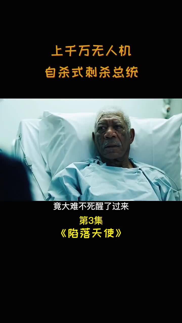 电影:总统被雇佣兵炸成植物人