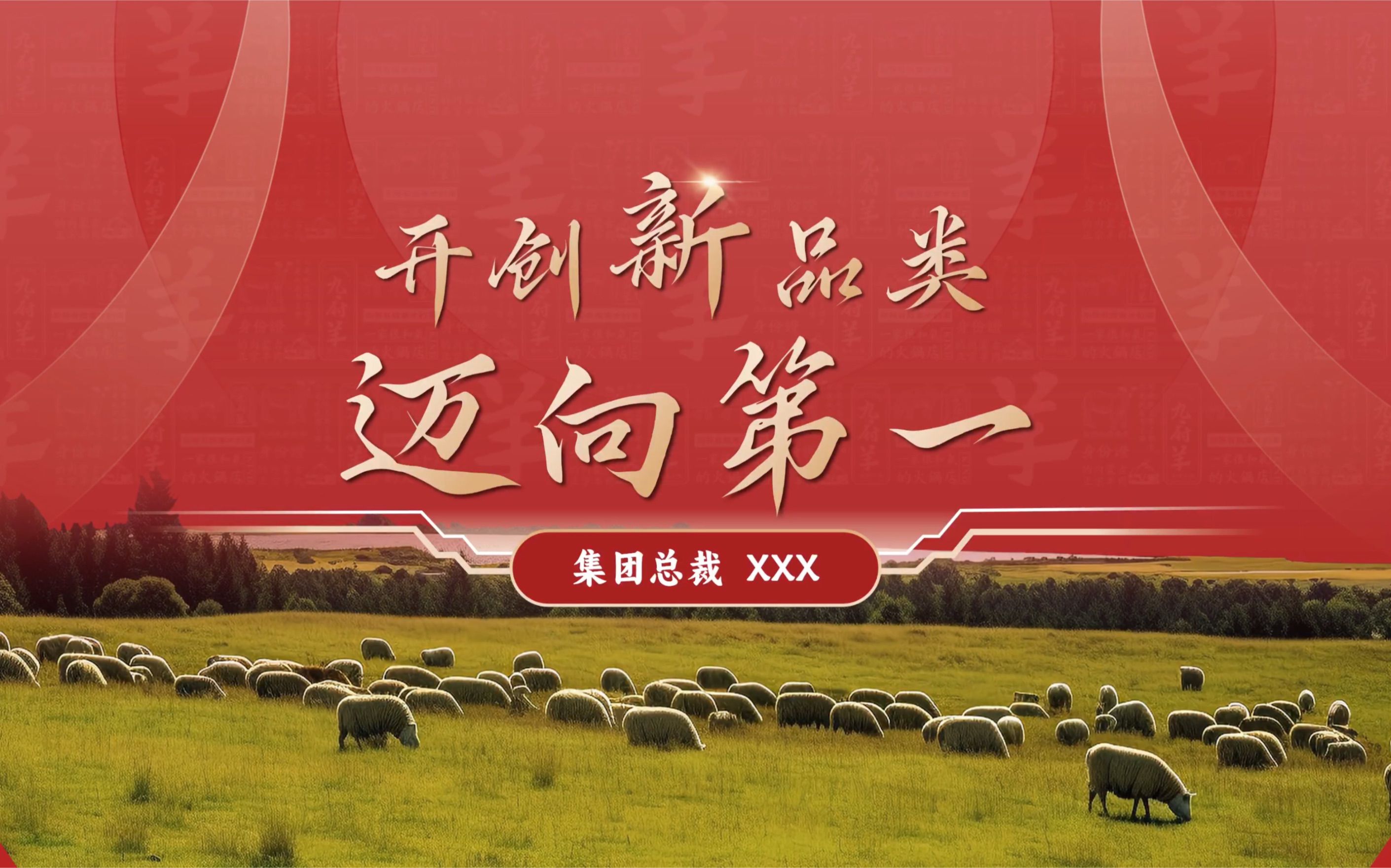 专业级PPT定制作品14:产品介绍