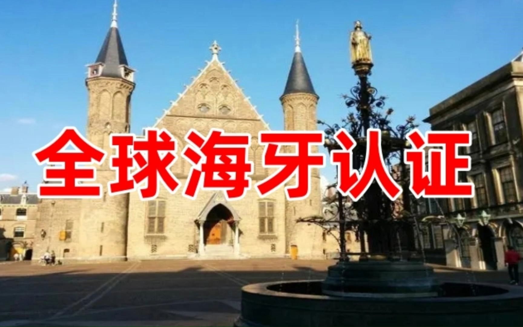 全球海牙认证 海牙认证办理 海牙认证文书类型