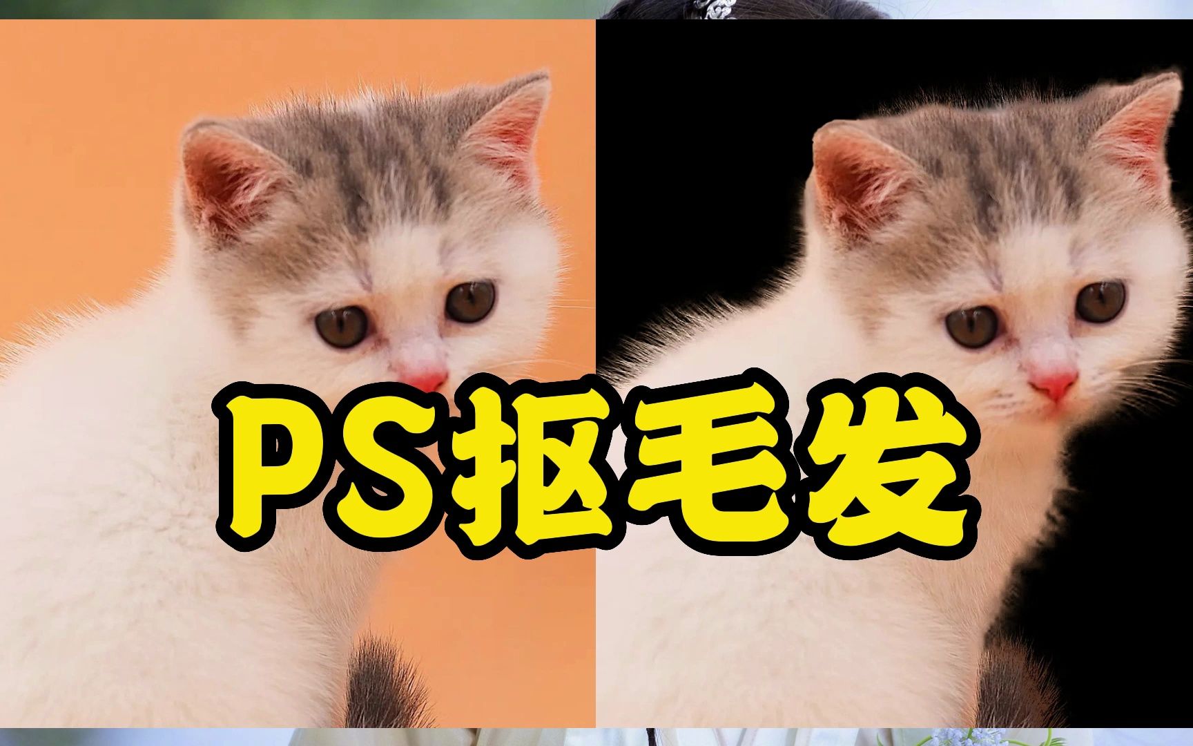 【PS抠图教程】PS基础教程!解决你99%抠图难题