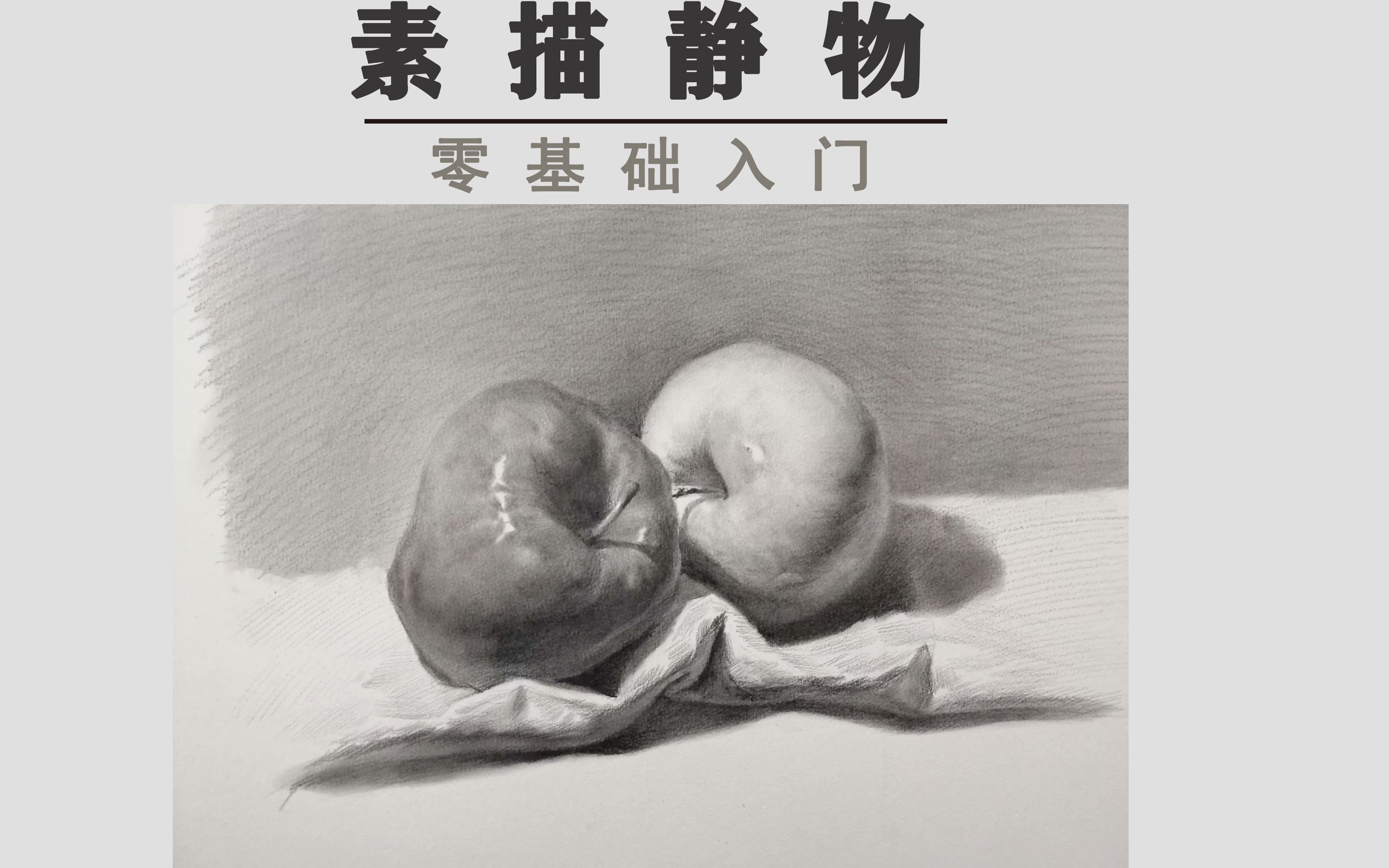 零基础如何开始学素描?