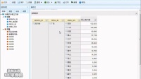 睿思BI-精简版数据分析软件演示录像