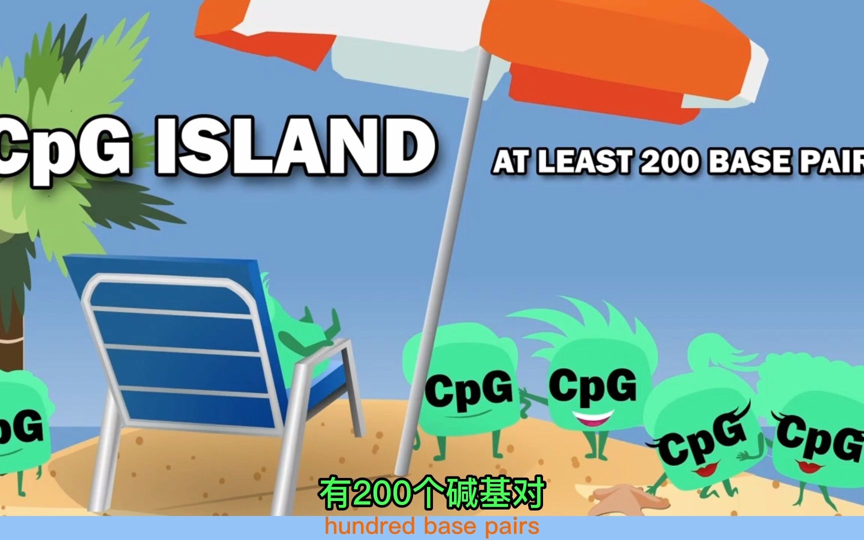 CpG岛是如何形成的?频率是多少?及其脱氨作用下如何形成胸腺嘧啶的?