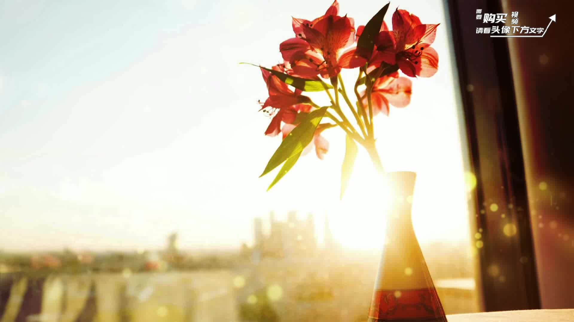 我的歌声里 配乐伴奏动态演出舞蹈晚会舞台大屏幕LED背景视频