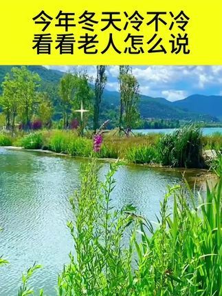 今年冬天冷不冷看看老人怎么说