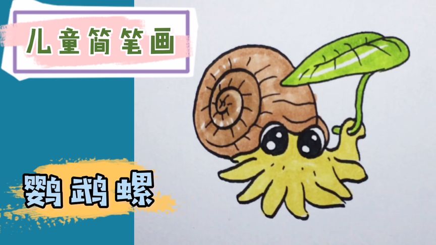 简笔画教程 鹦鹉螺要上街了 先打个伞