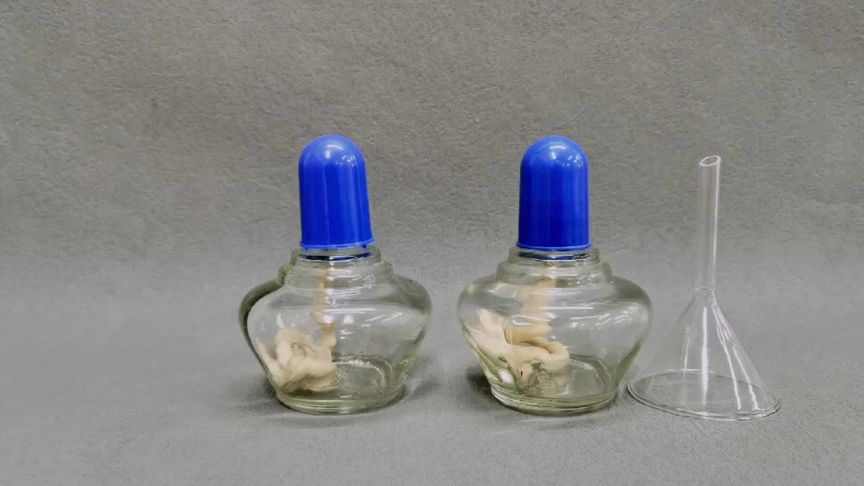 酒精灯使用及注意事项