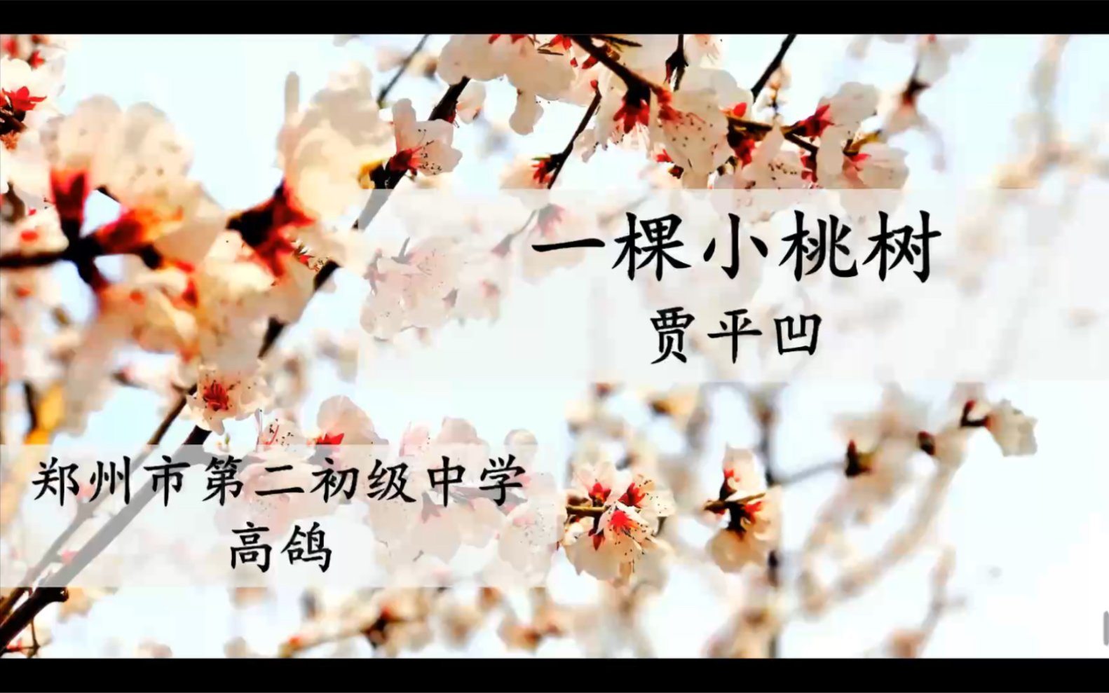 高老师讲语文 《一棵小桃树》