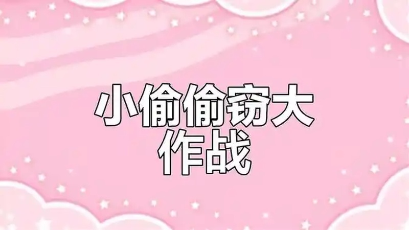 从新手到老手,小偷模拟器里的那些事儿