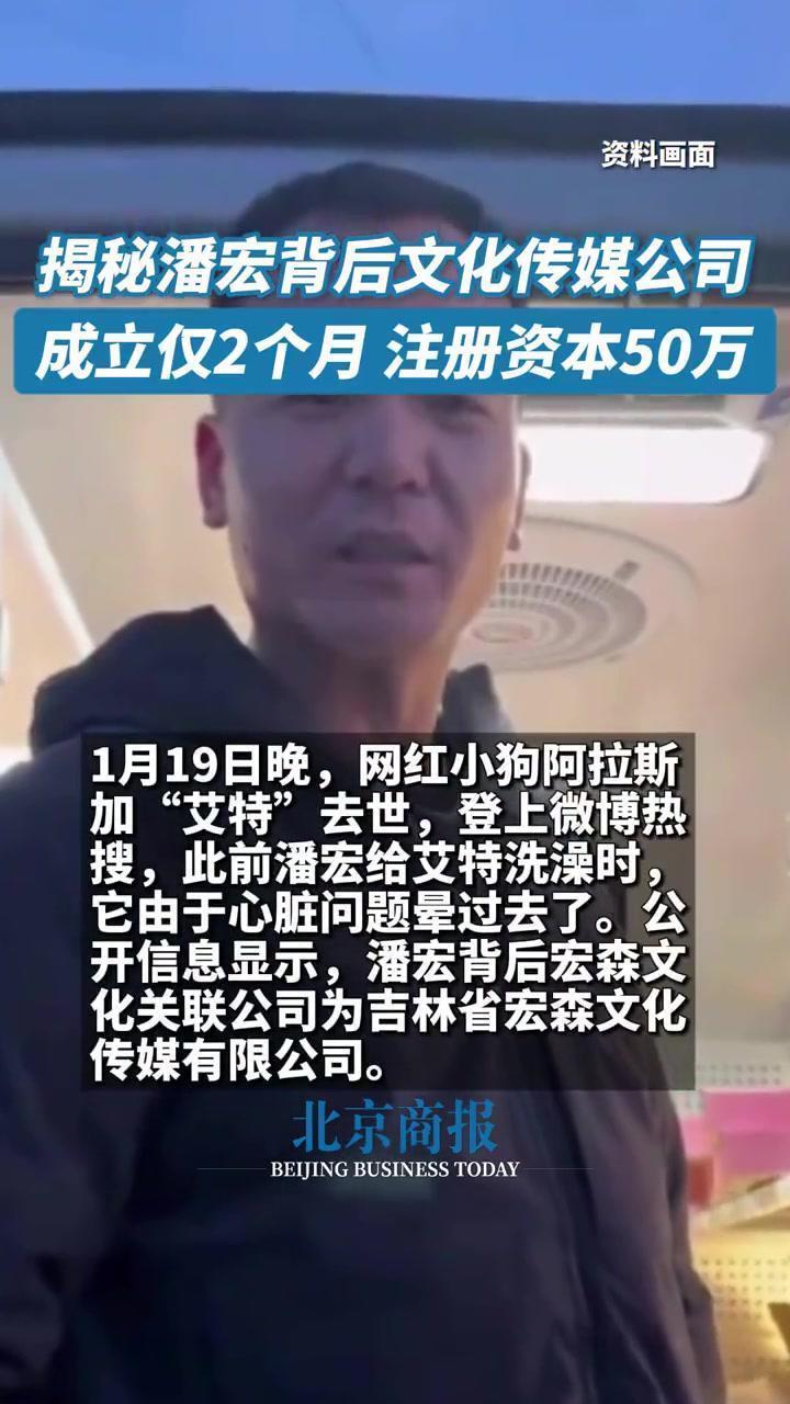 揭秘潘宏背后文化传媒公司成立仅2个月注册资本50万