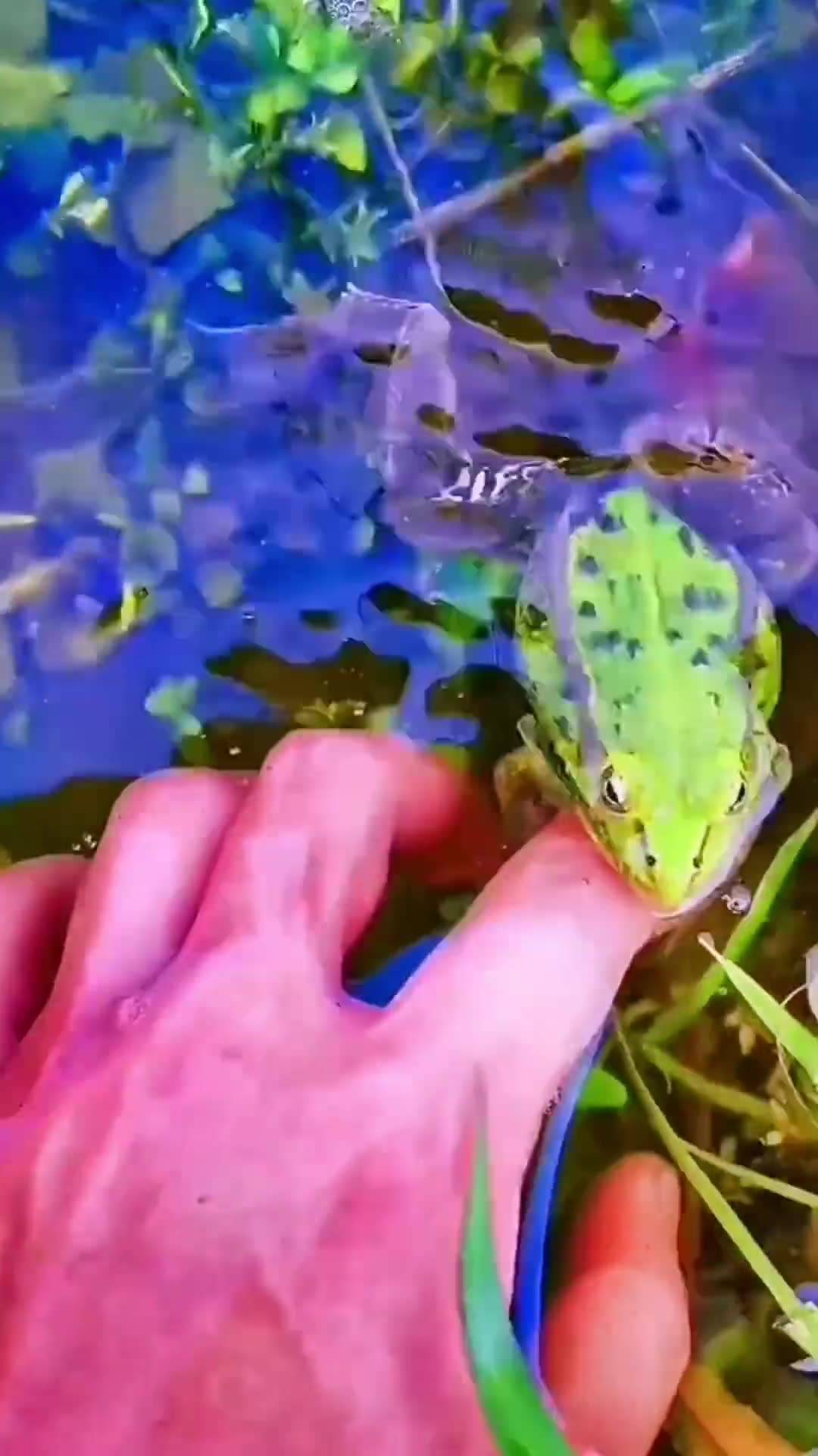 分阶段管理,精准施策效率高
