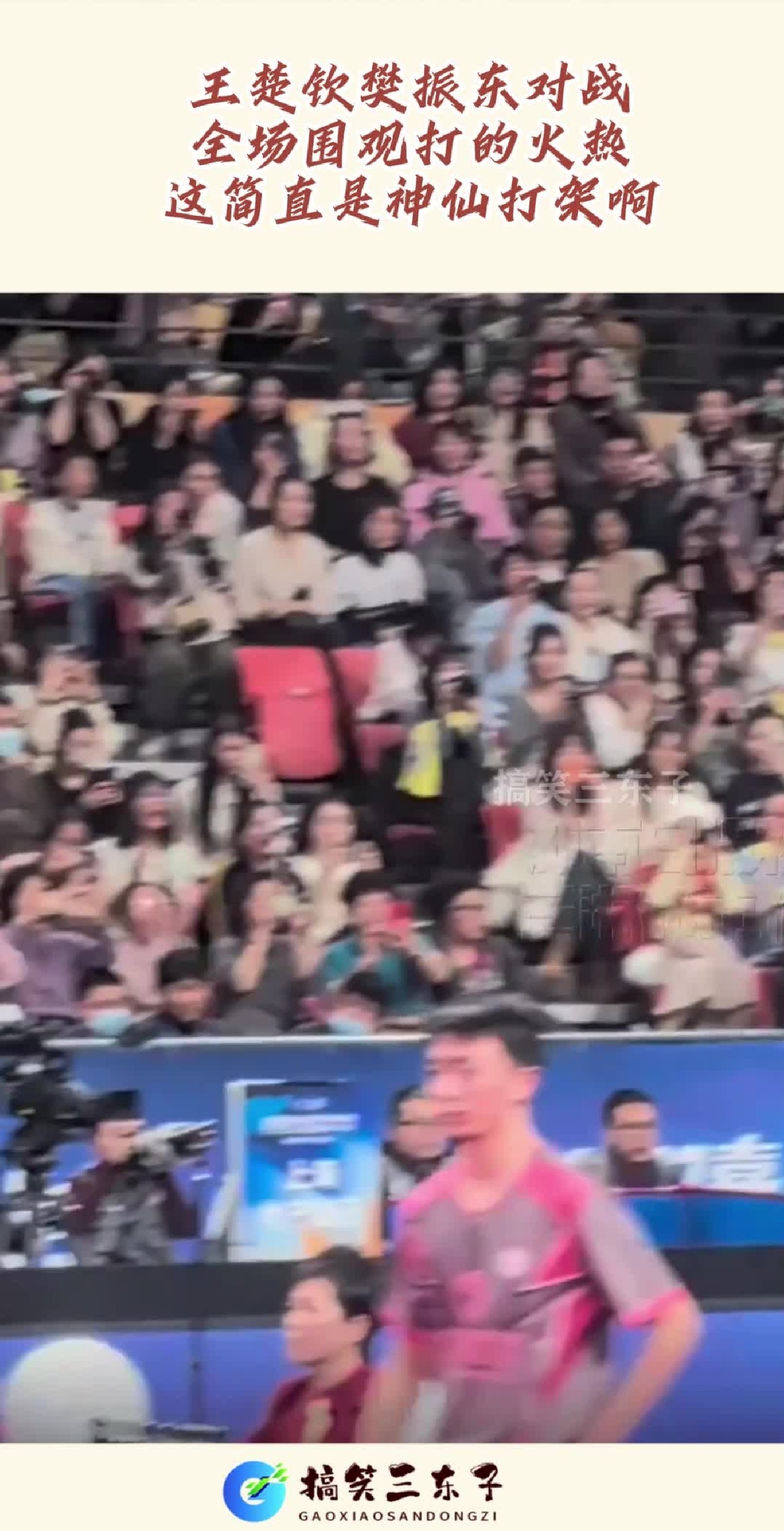 王楚钦樊振东对战,全场围观打的火热,这简直是神仙打架啊!