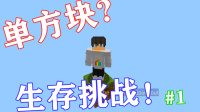 MC大白我的世界实况生存 第1集 我的世界单方块空岛生存1,全世界只...