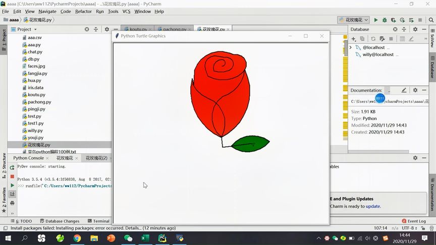 Python实现的花玫瑰花,需要源码请关注我啊