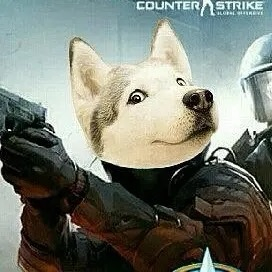 CSGO张三兄 