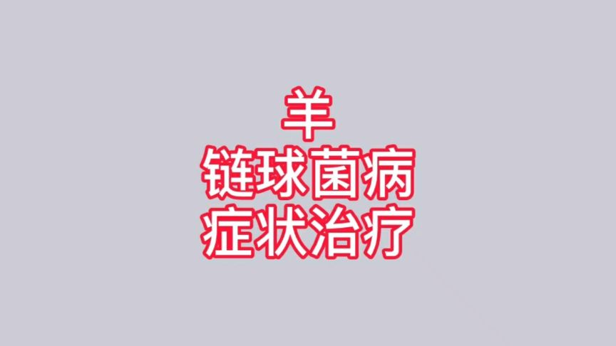羊链球菌的症状和治疗,以及和羊炭疽,羊快疫等症状区别。