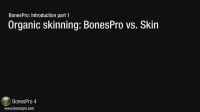 烟台寒武纪网络游戏实训公司 Bones Pro 4 教程 3