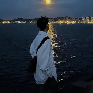 不做梵高-9527 