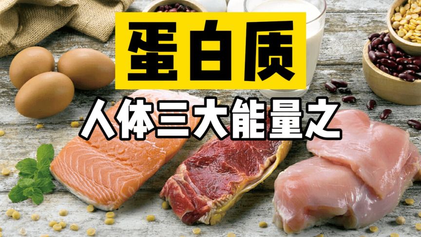 蛋白质是组成人体所有细胞和组织的重要成分 带你初步了解蛋白质
