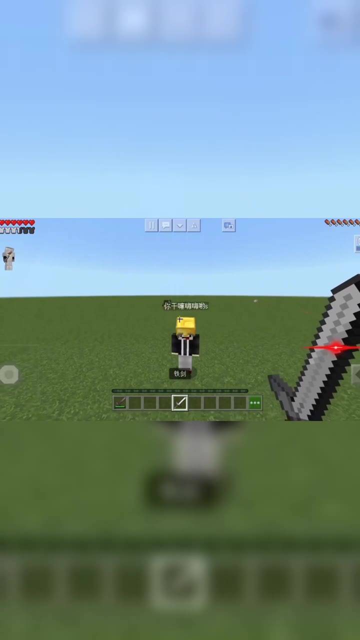 我的世界:这就是好多剑