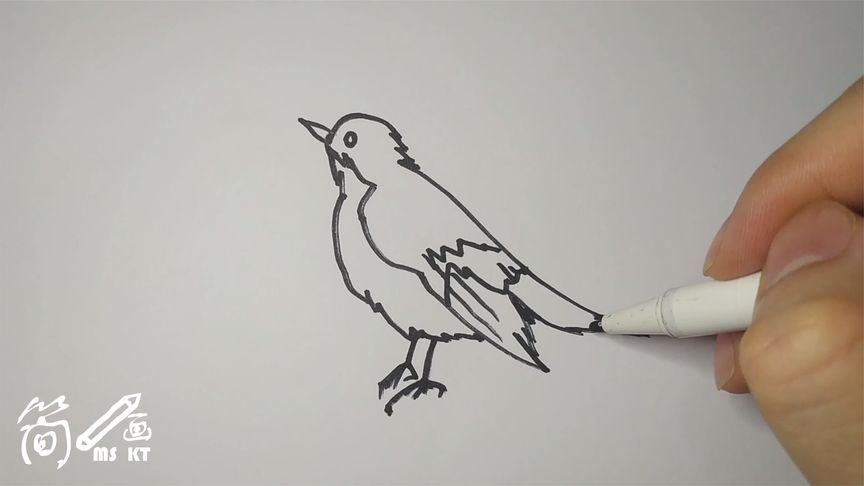简笔画:小鸟画的很简练哦!