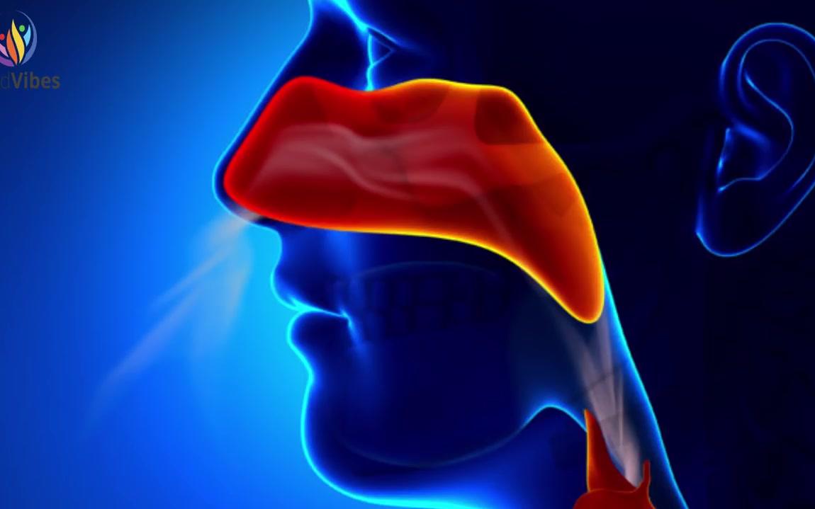 清除鼻窦充血和感染头部冷 - 双耳搏动+等时音 - 鼻塞