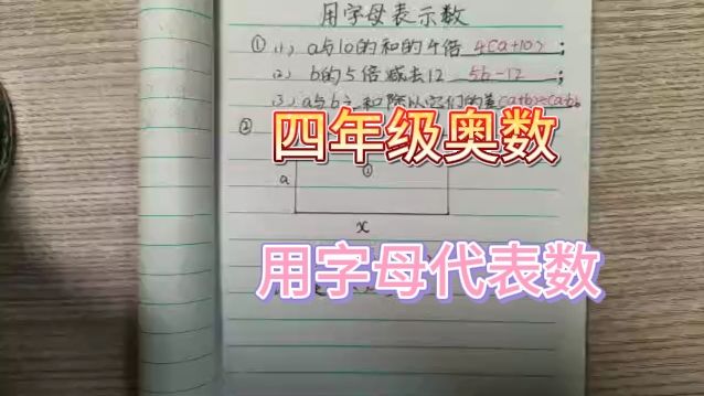11岁邯郸小朋友讲四年级奥数,用字母表示数,同龄人讲解更易懂吧