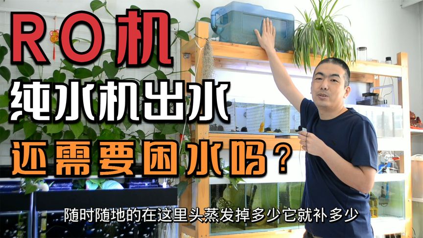 RO纯水机出水给鱼缸换水,困水桶用加氧气头、水妖精或是过滤器吗