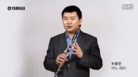 【雅马哈】管乐器介绍之 单簧管YCL-SEV