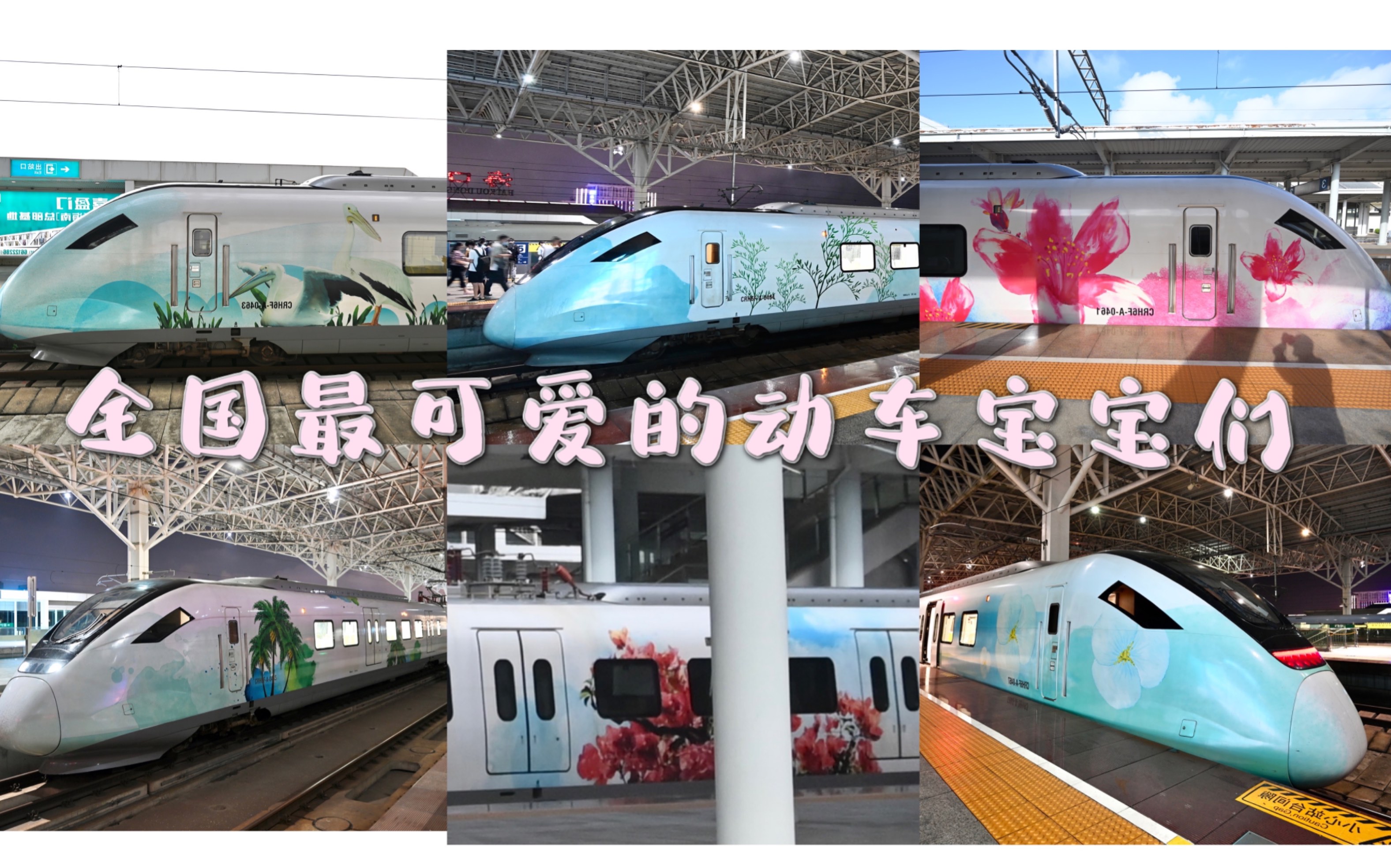 全国最可爱的动车在这—海口市郊铁路CRH6彩绘车车合集【南铁影记】