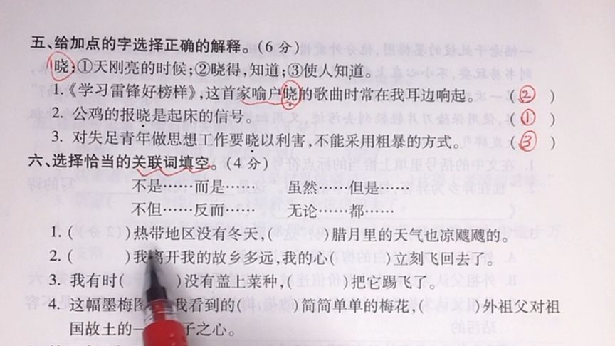 五语下试卷分析:“晓”字的正确用法和常考关联词讲解