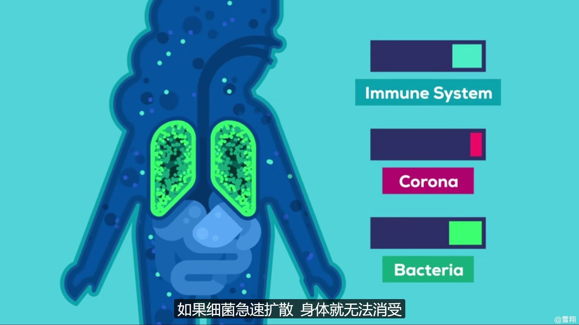 新冠肺炎病毒介绍与应对