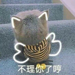 小白莹 