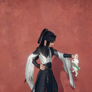 杨岸柳 