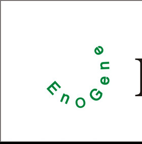 EnoGeneBio 