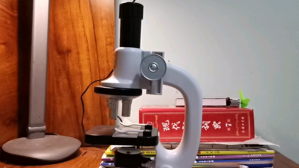 教你一步一步制作标本,使用显微镜