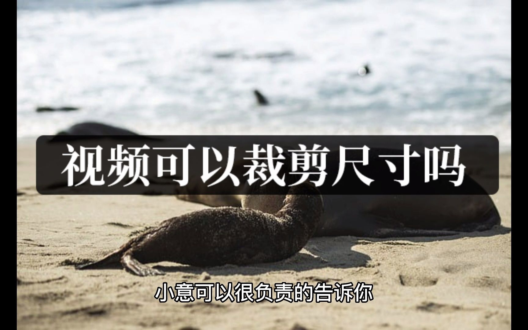 手机怎么把长视频分成几段?2种经济实用的解决办法