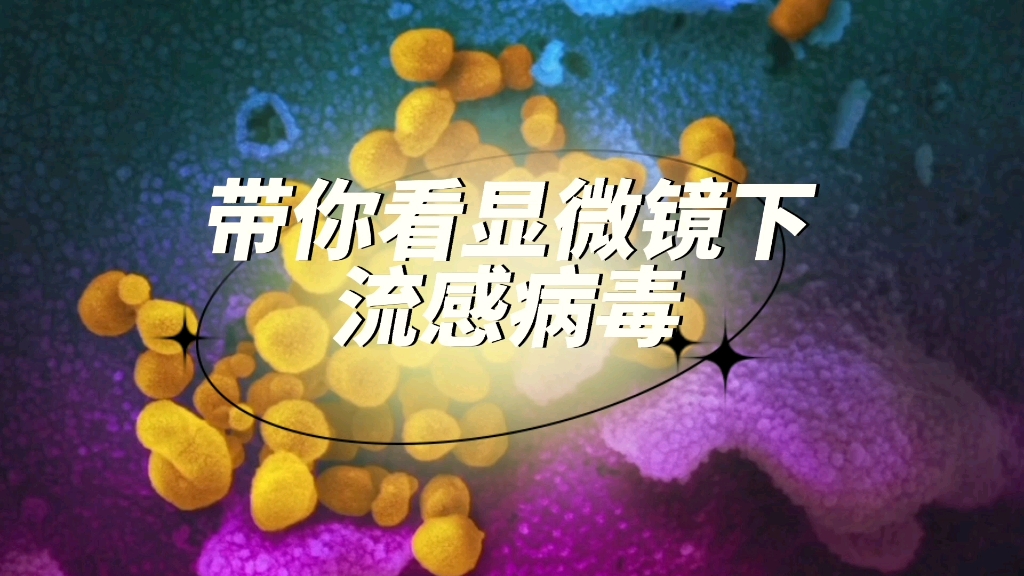 播放量突破千万的科普片【带你看显微镜下的流感病毒】