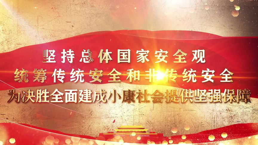 坚持总体国家安全观 统筹传统安全和非传统安全