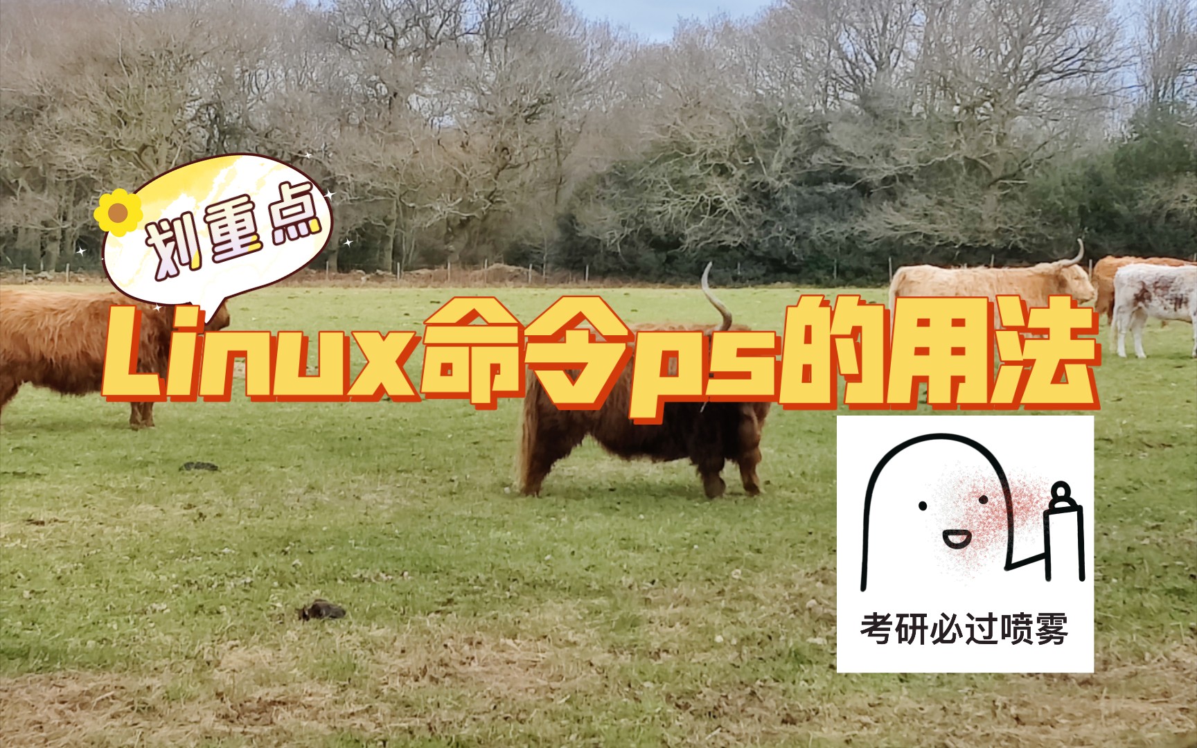 2分钟学会Linux命令ps的用法
