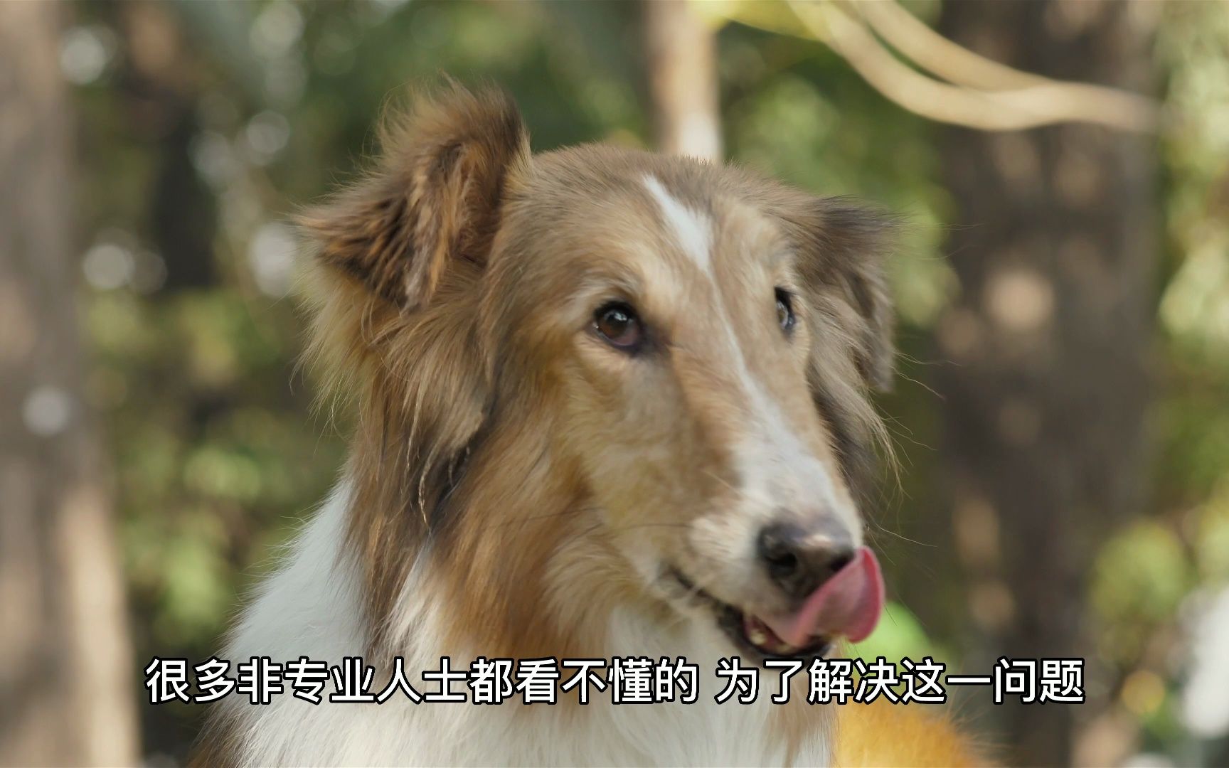CAD文件可以变成图片吗?一分钟教会你
