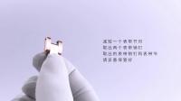 DW手表-【张艺兴款表带调节】