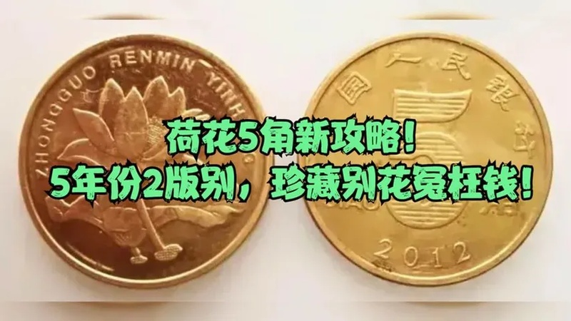 荷花5角新攻略!5年份2版别,珍藏别花冤枉钱!