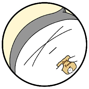 金井锁梧桐