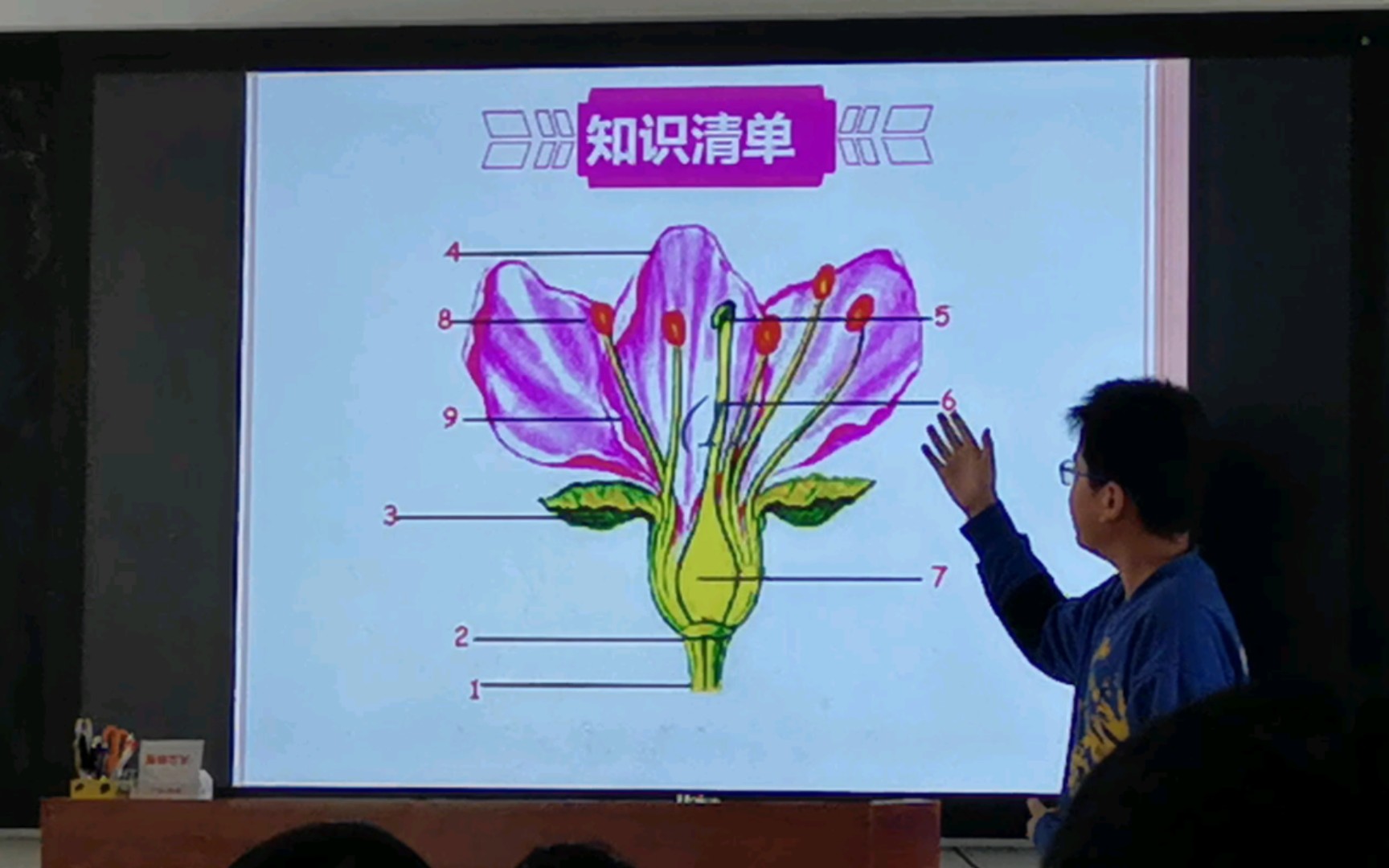 课堂实录～被子植物的一生复习课(小老师们在练习讲课)